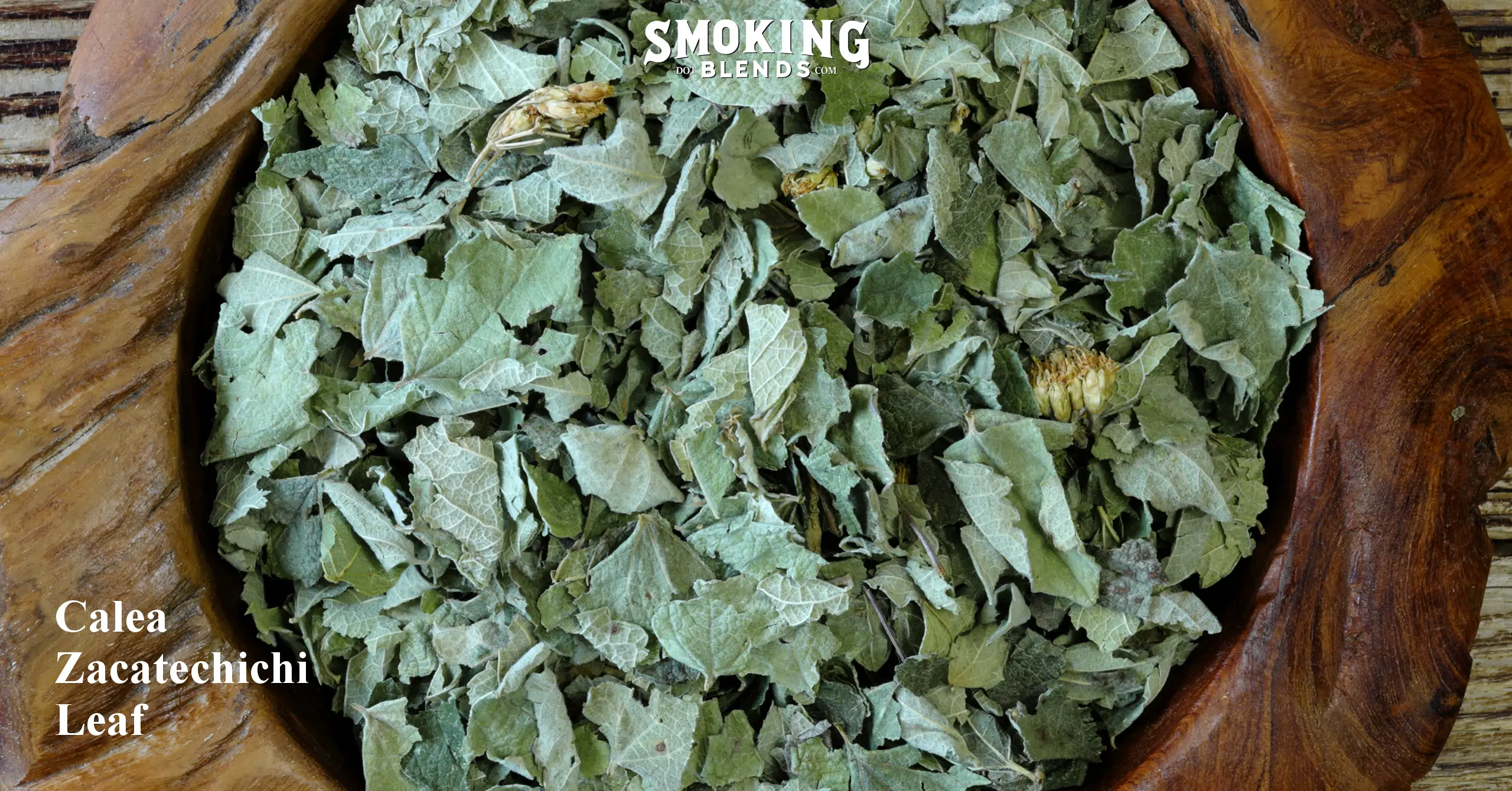 Wildcrafted Calea Zacatechichi Leaf