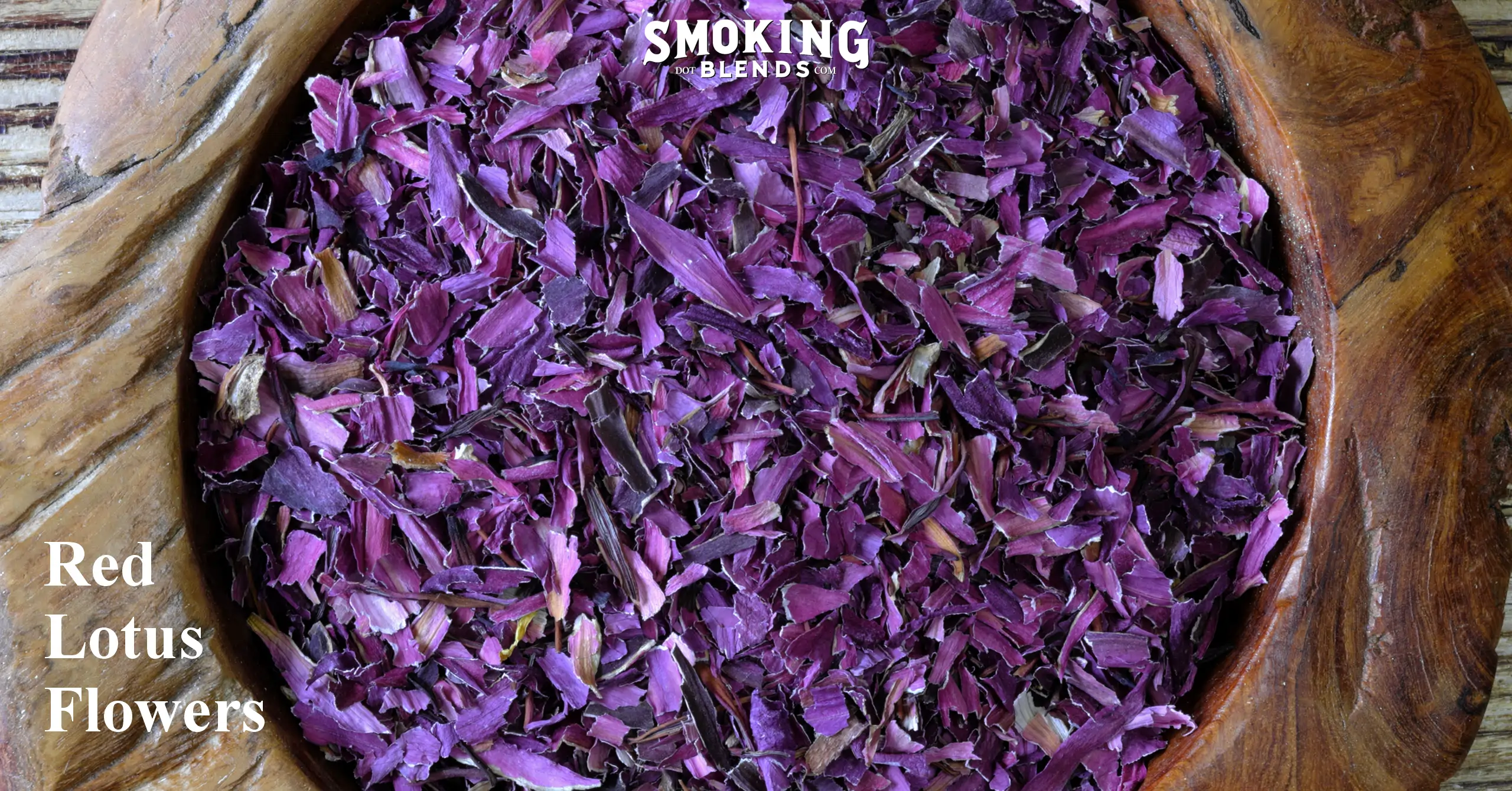 Red Lotus Flowers | Nymphaea Rubra – SmokingBlends.com